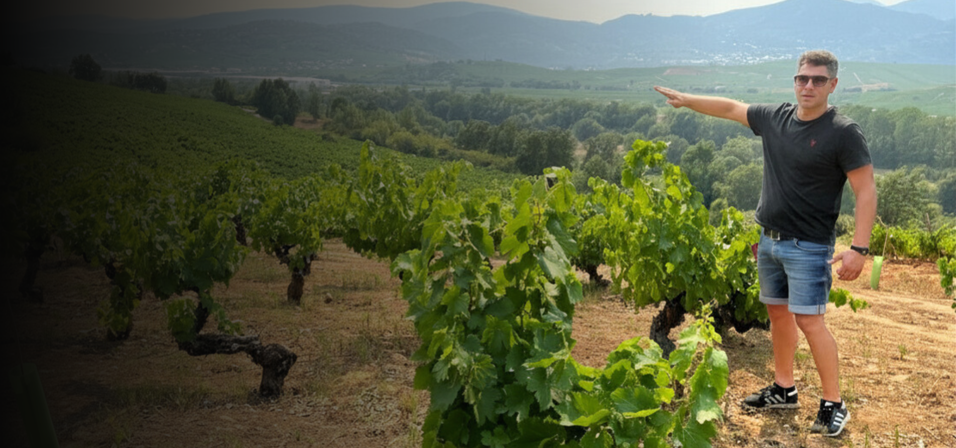 Le Pont Wine Store | Curated Wines, Tastings & Masterclasses